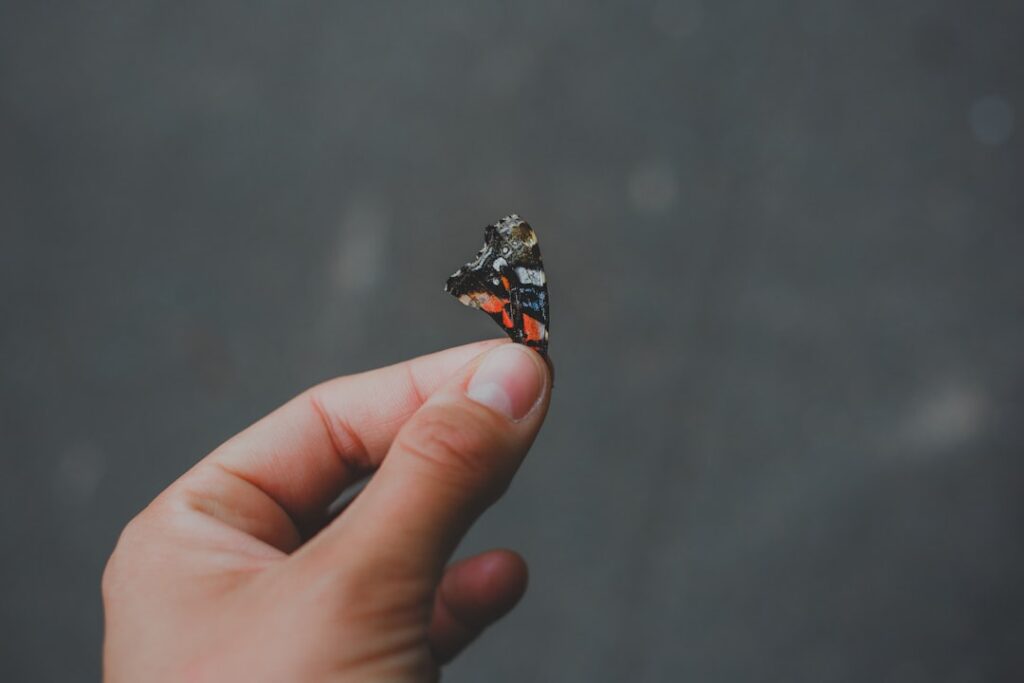 25 Quotes on the Power of Small Wins