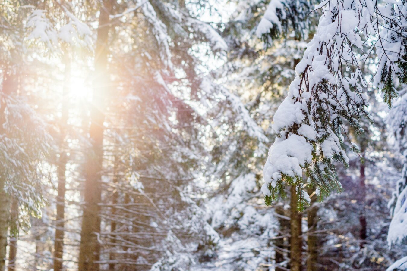 20 Productivity Boosts for Winter Routines