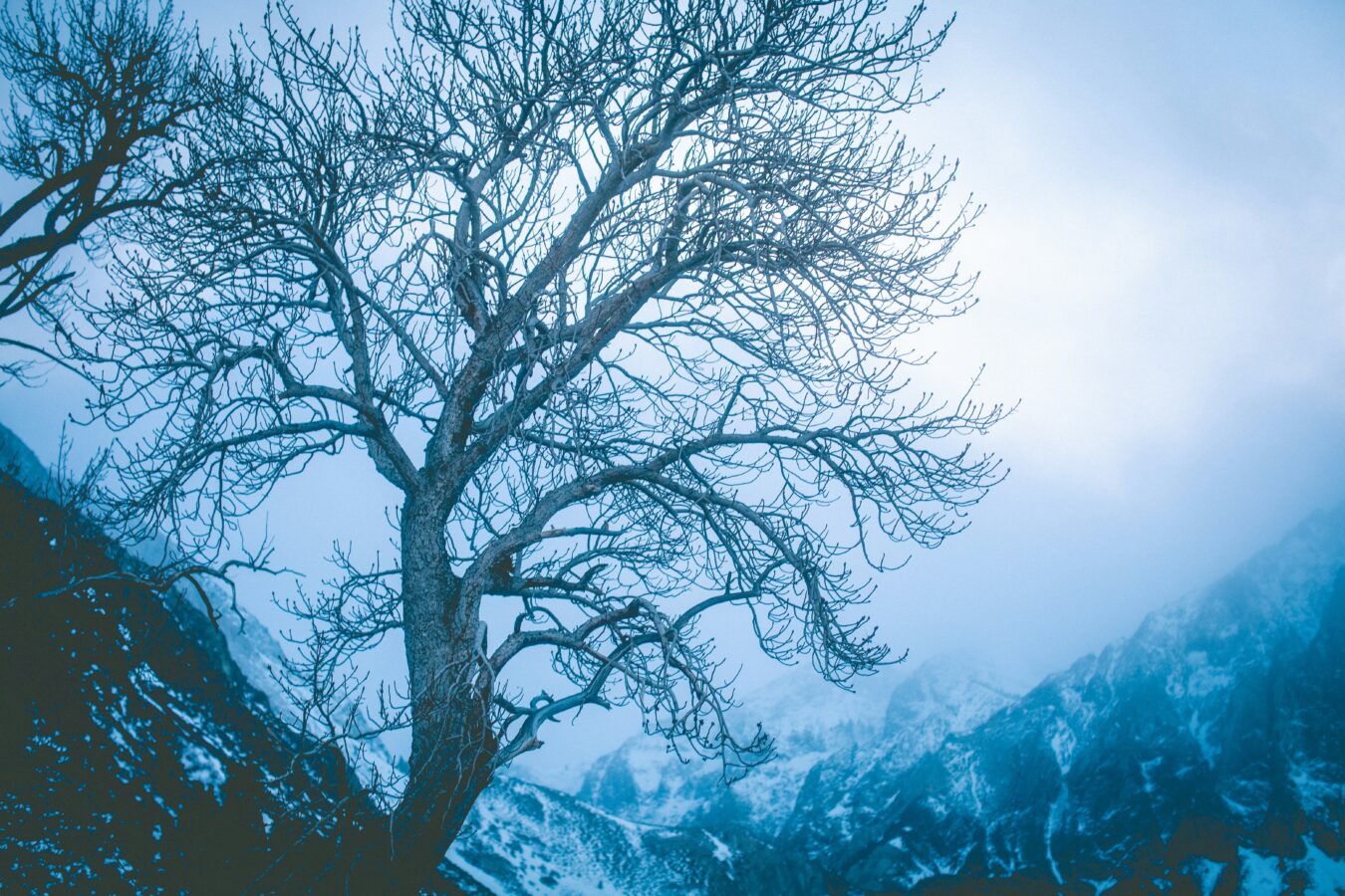 12 Mindset Shifts for Positive Winter Vibes